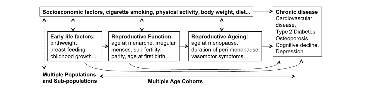 The University of Queensland | Gunma University Initiative for Advanced ...